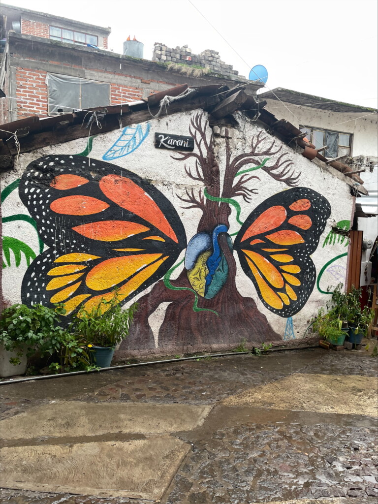 Meeting our Global Ambassador: Alyssa Contreras - Bridging Borders